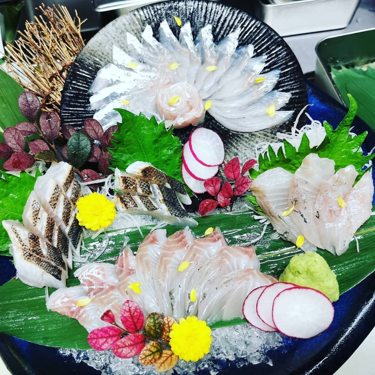 Sashimi set - Suishin